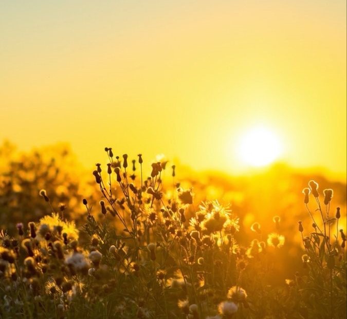 성경진리사역원(BTMK) | 2023년 하반기 전국 자매 온전하게 하는 훈련 안내